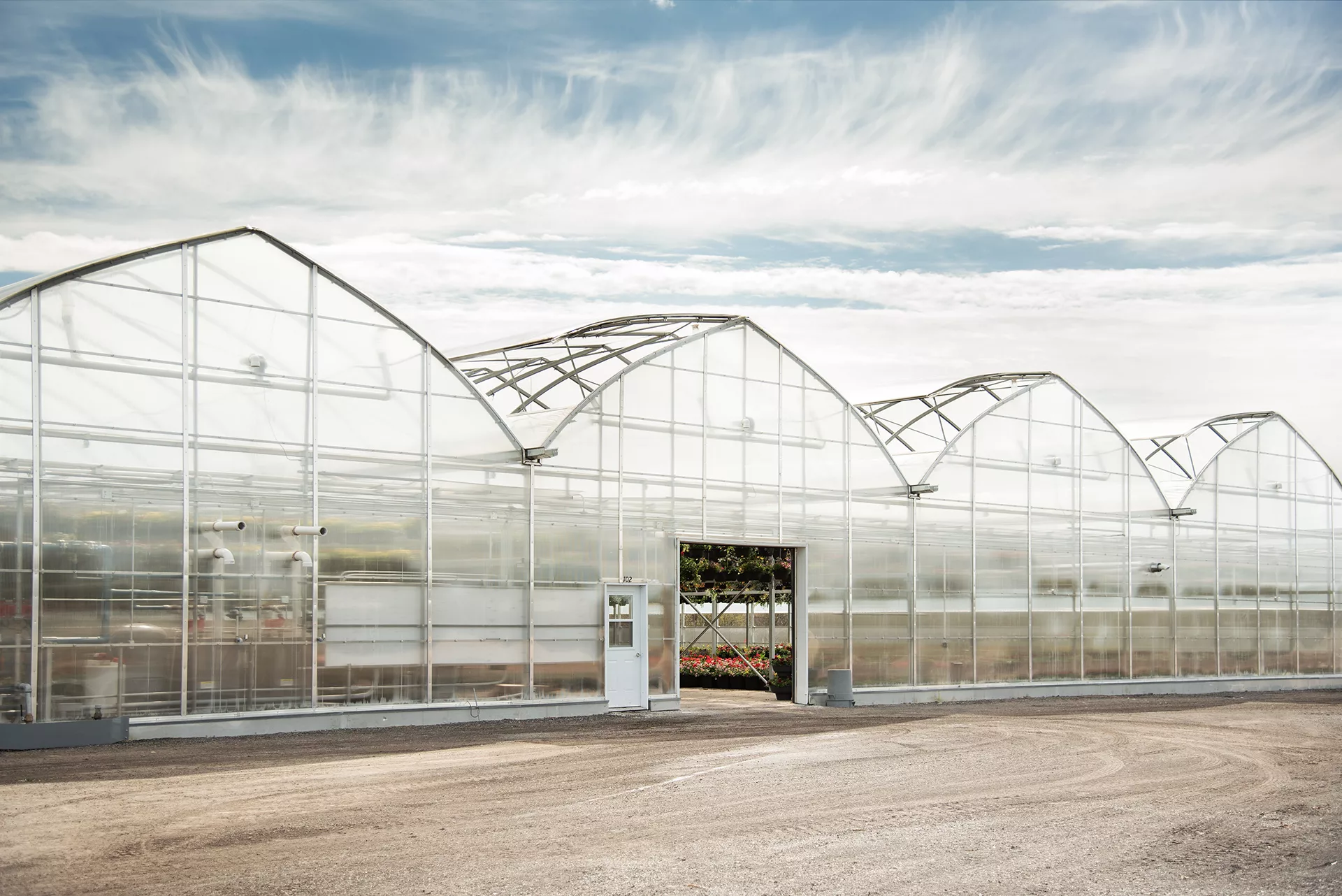 Commercial Greenhouses — Harnois