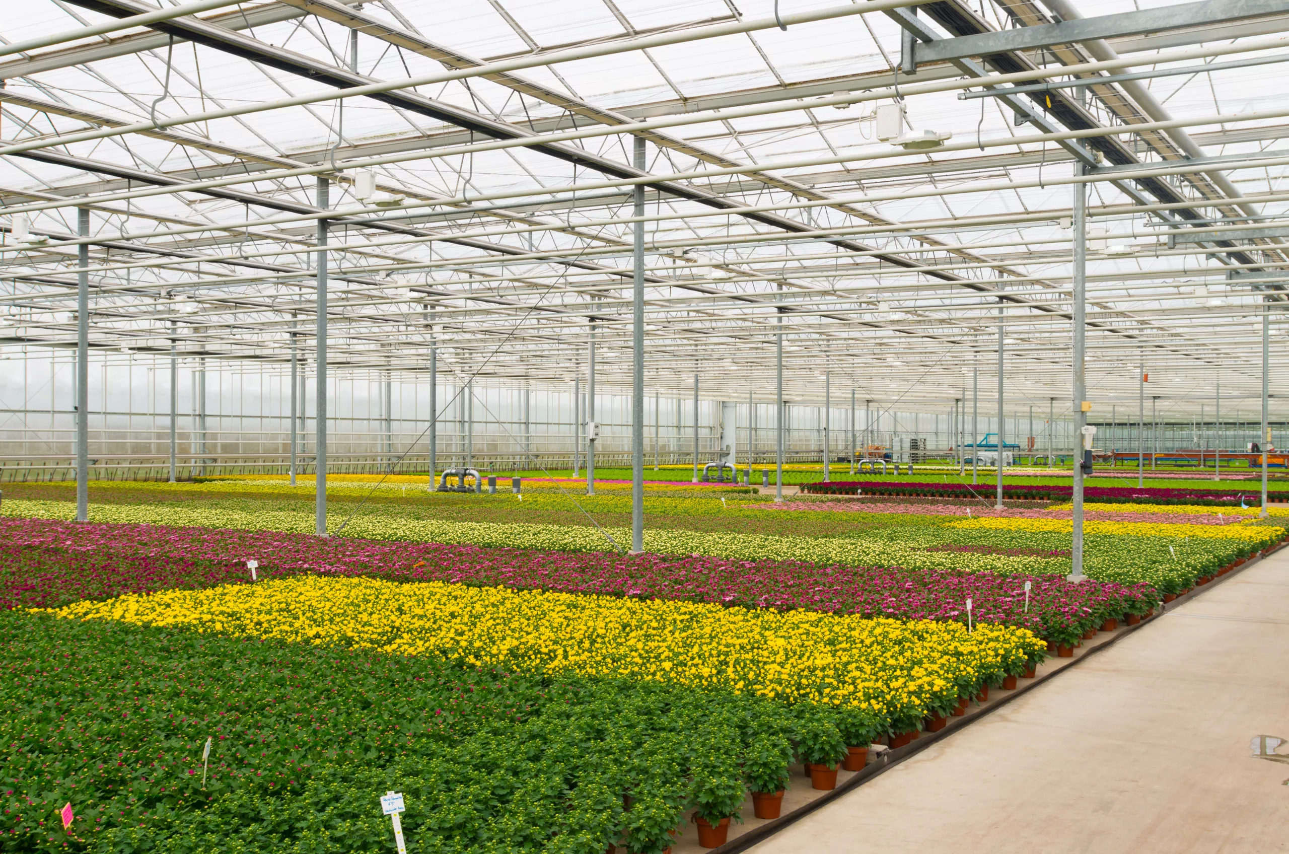 Our brands — Harnois